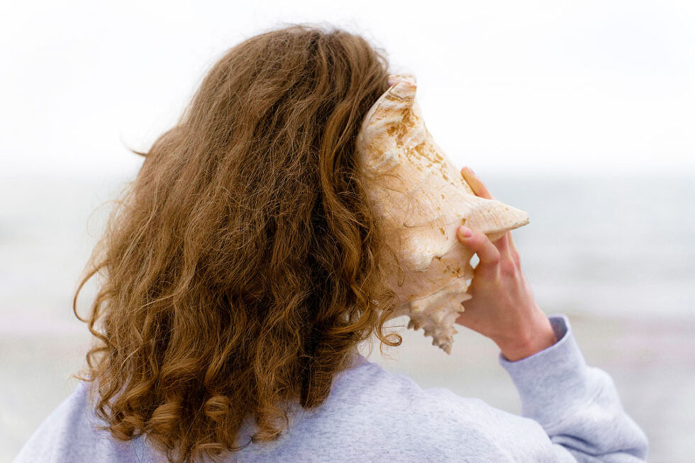 How We Hear: Exploring the Models of Auditory Perception